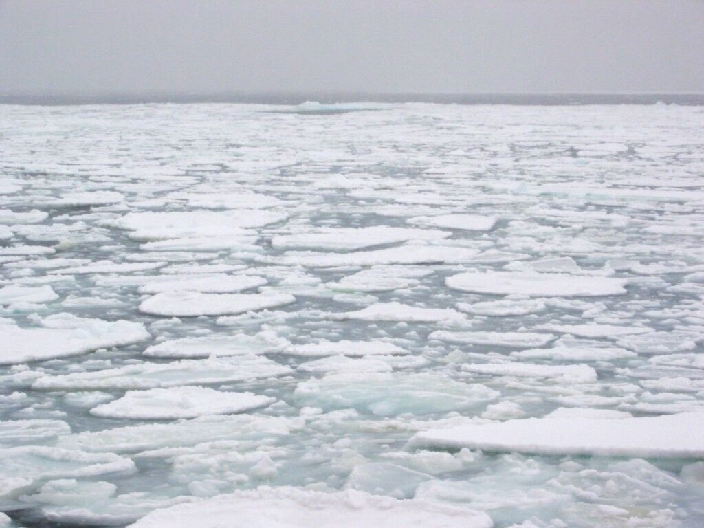 From flooding to ‘greening’ – how ocean waves contribute to the ...