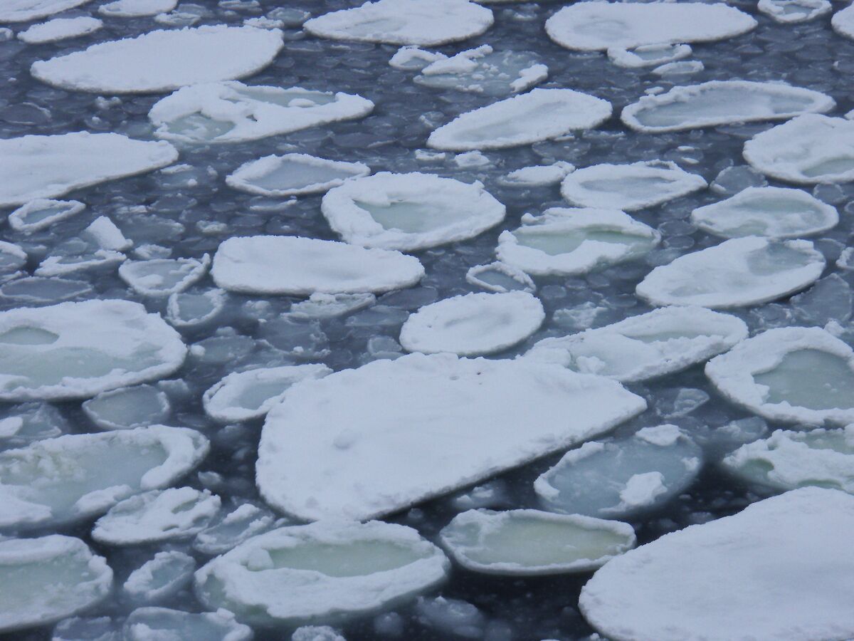 From flooding to ‘greening’ – how ocean waves contribute to the ...
