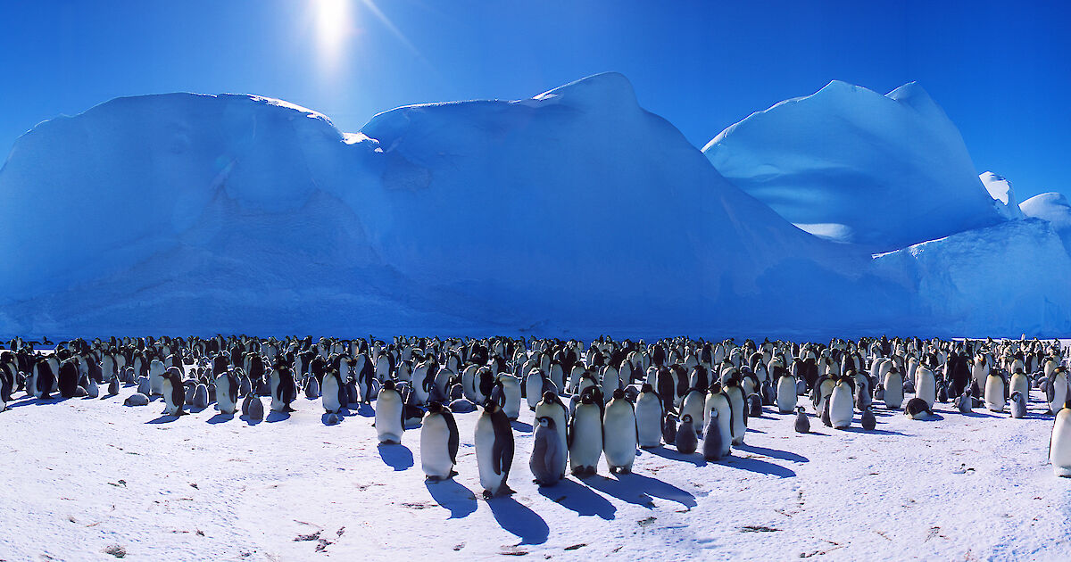 Antarctic visions: making the most of digital imaging – Magazine Issue ...