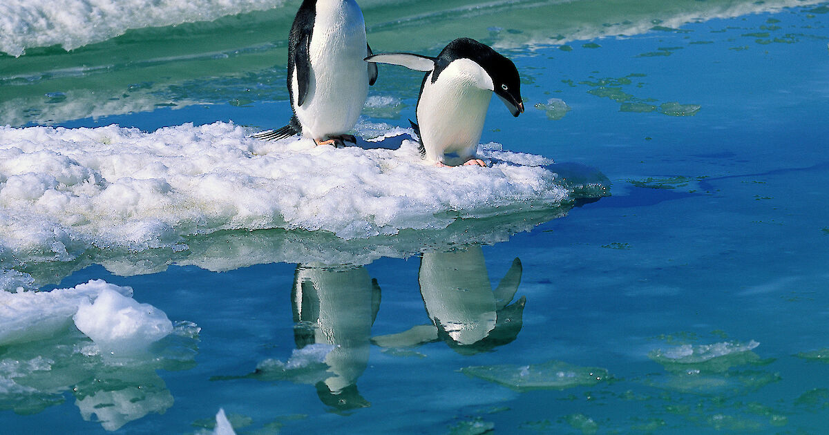 Freeze Frame – Magazine Issue 2: Spring 2001 – Australian Antarctic Program