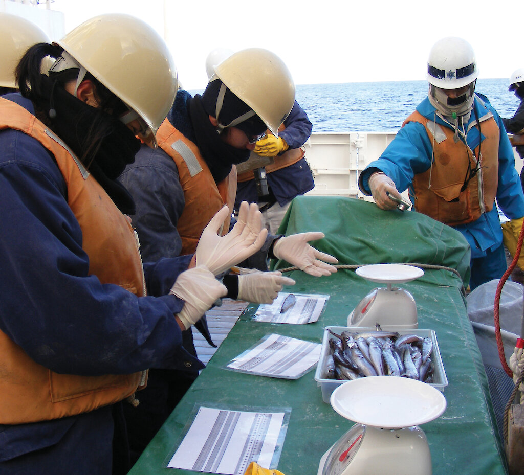 Underwater world gives up its secrets — Australian Antarctic Program