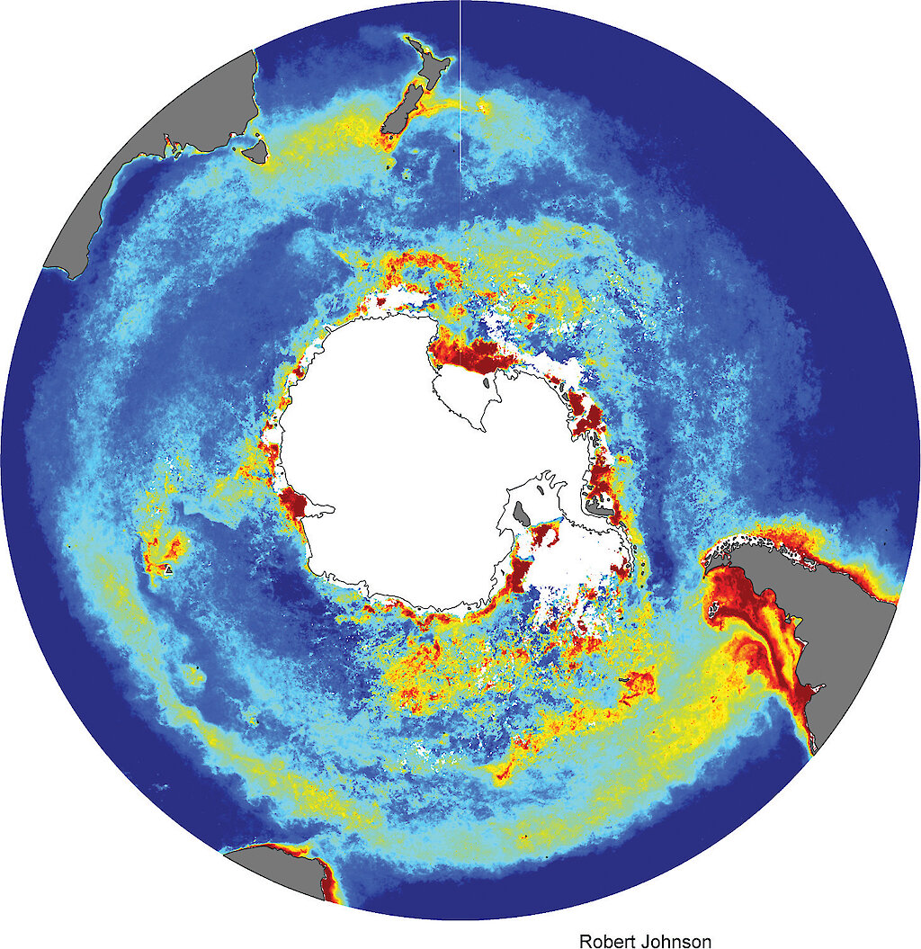 Measuring phytoplankton from space — Australian Antarctic Program