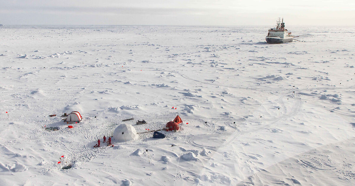 Winter Ice Study on Key Species – Magazine Issue 25: December 2013 ...