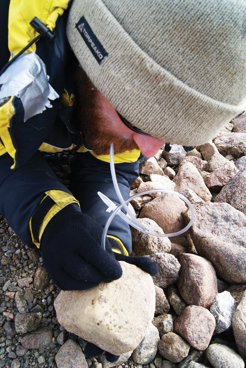 Bugs, soils and rocks in the Prince Charles Mountains — Australian ...