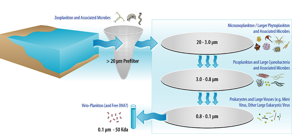 Capturing the ocean’s microbial diversity — Australian Antarctic Program