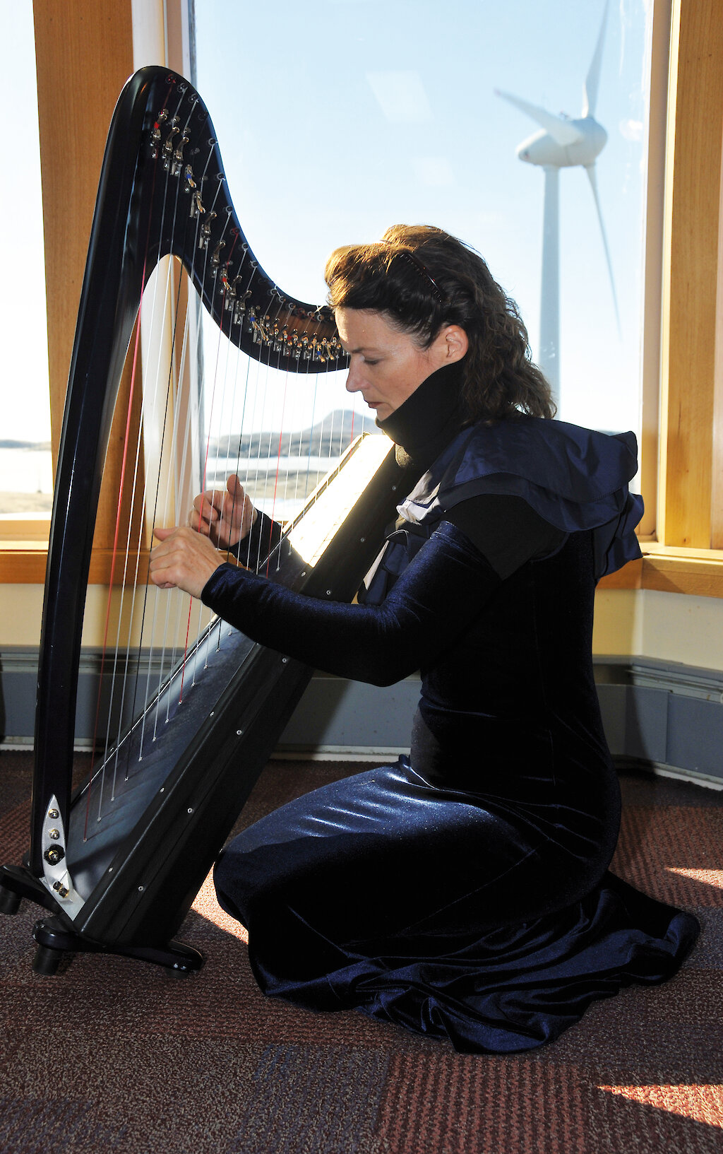 A harp in the south — Australian Antarctic Program