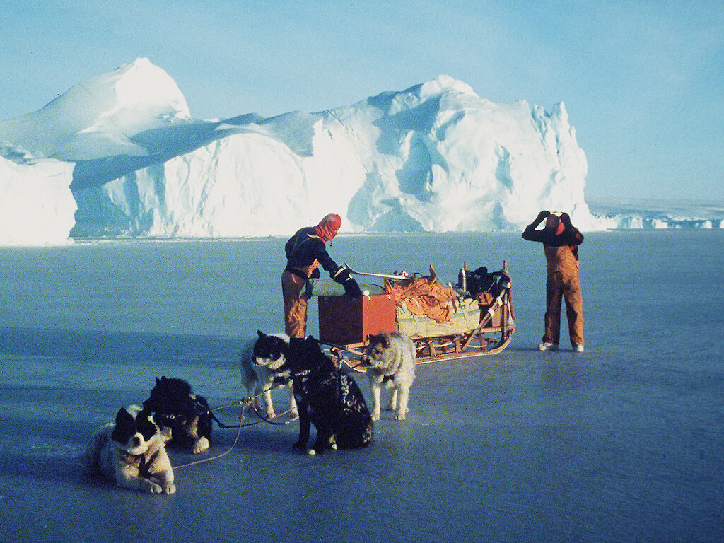 Husky’s tale comes full circle — Australian Antarctic Program