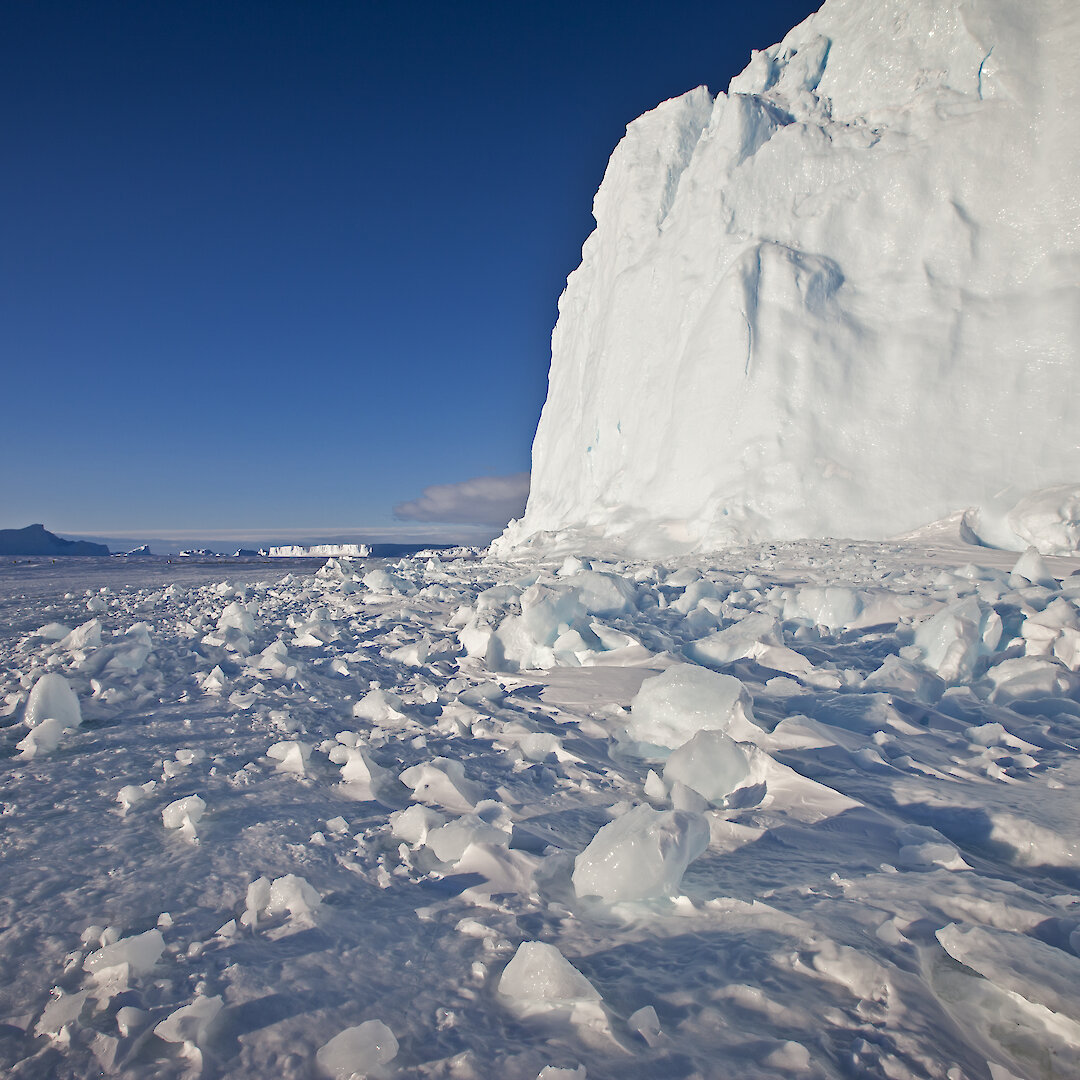 Antarctic ecosystems the focus of international meeting in Hobart ...