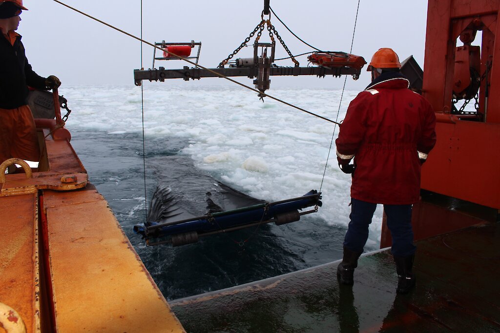 K-Axis voyage reaches half-way point — Australian Antarctic Program ...