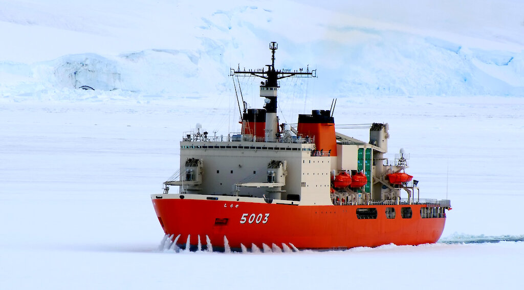 Japanese icebreaker to transfer expeditioners to Casey station ...
