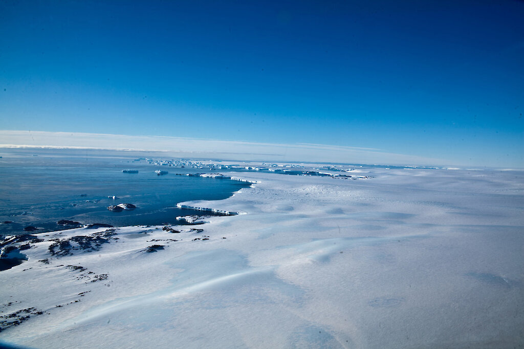 Seals help solve Antarctic bottom water mystery — Australian Antarctic ...