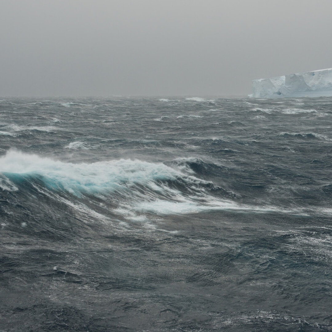 Scientists study fish on the smaller side of the Southern Ocean ...