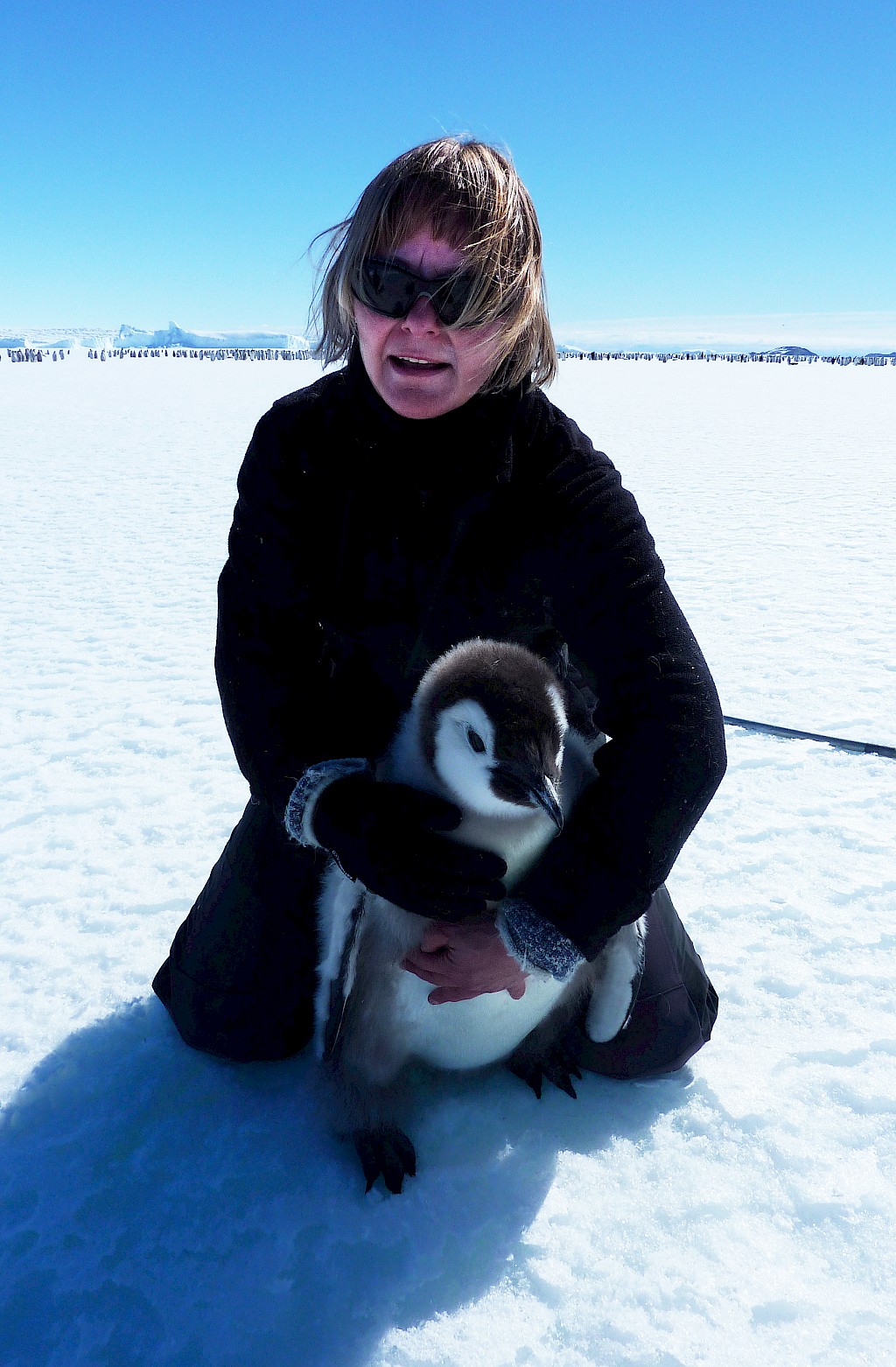 Science and the sea capture 2013 Antarctic medals — Australian ...
