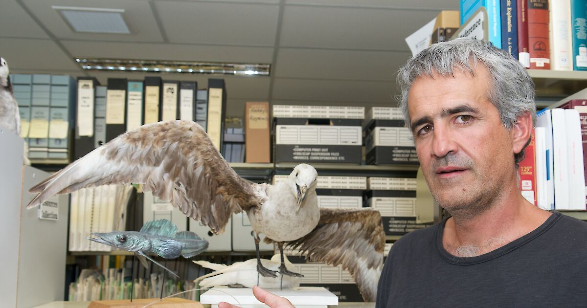 Australian seabird ecologist wins prestigious marine conservation award ...