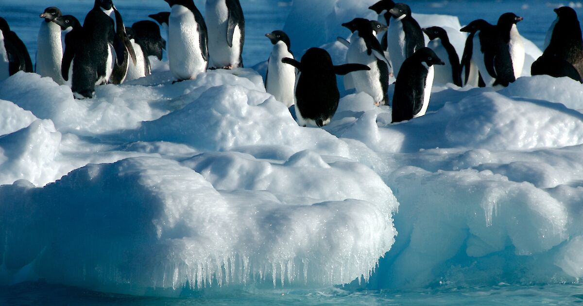 New Antarctic conservation laws adopted – Australian Antarctic Program ...