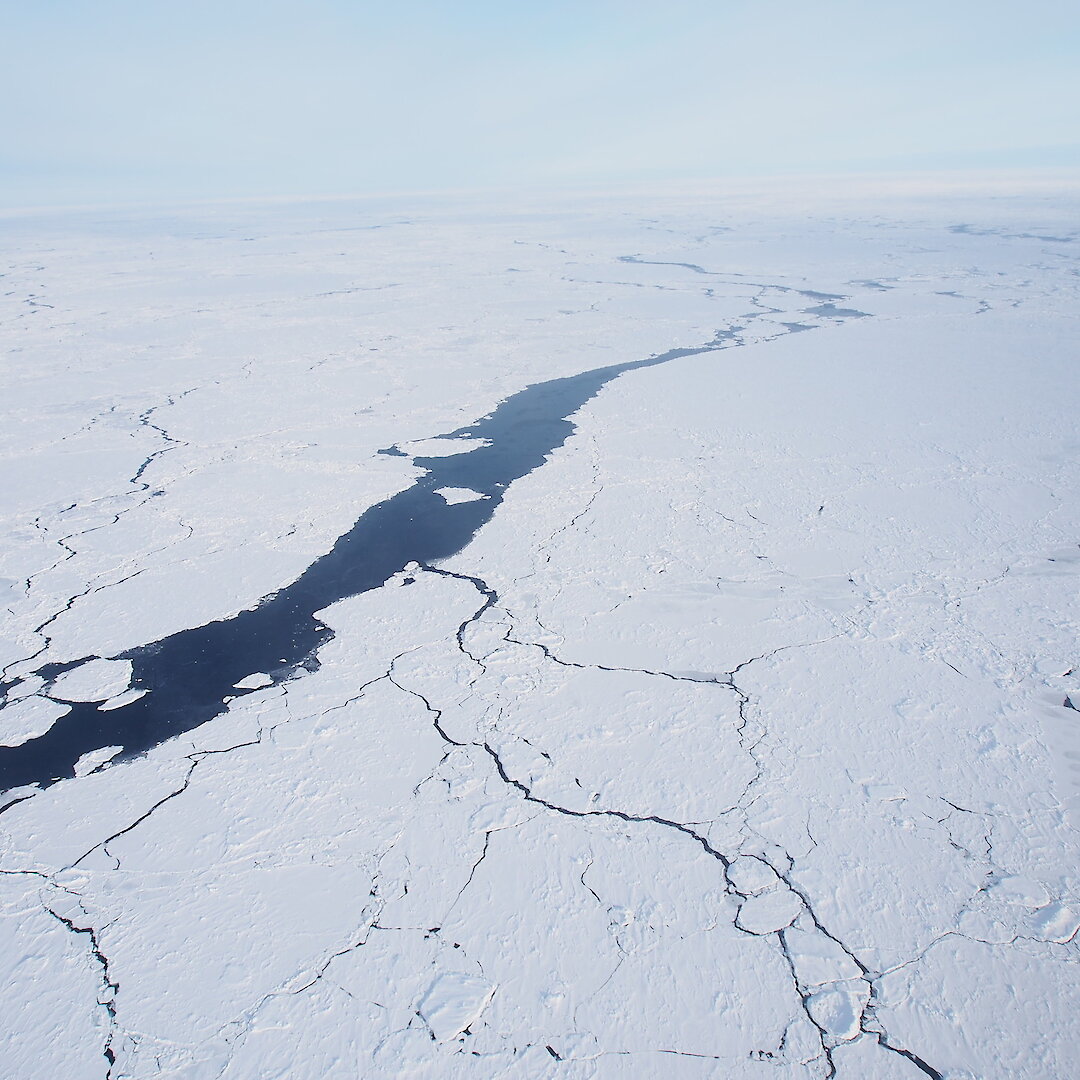 Hot meets cold on sea ice research and energy efficiency — Australian ...