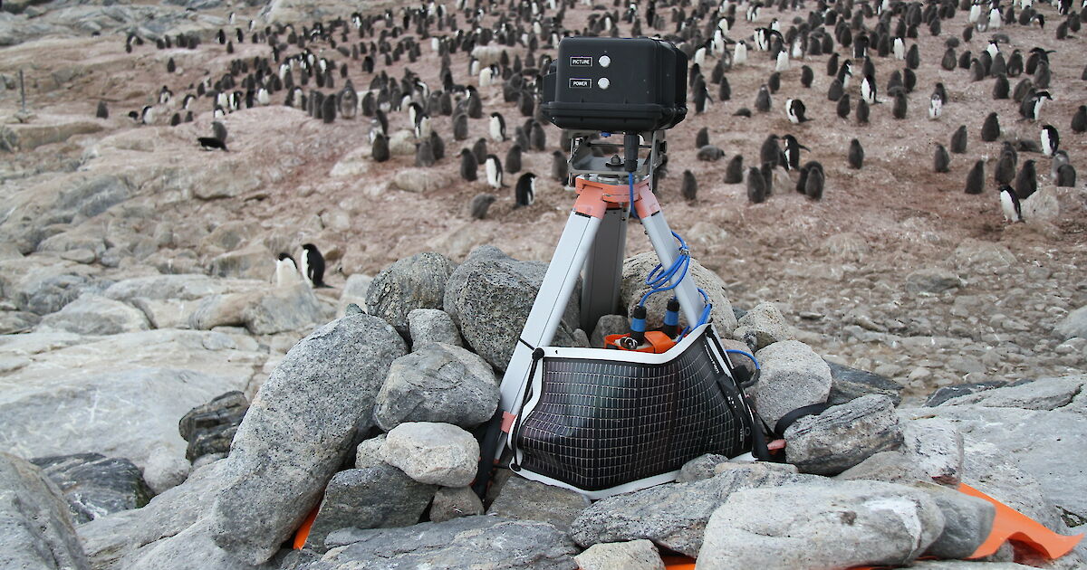 Spying on penguins – Australian Antarctic Program (News 2018)