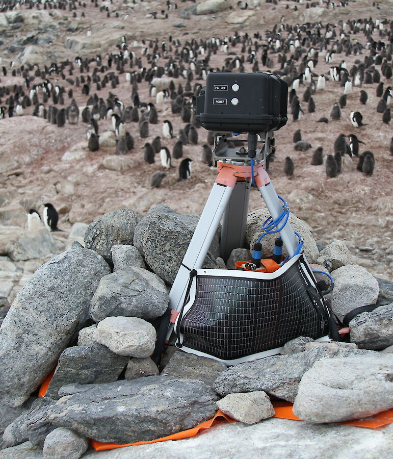 Spying on penguins – Australian Antarctic Program (News 2018)