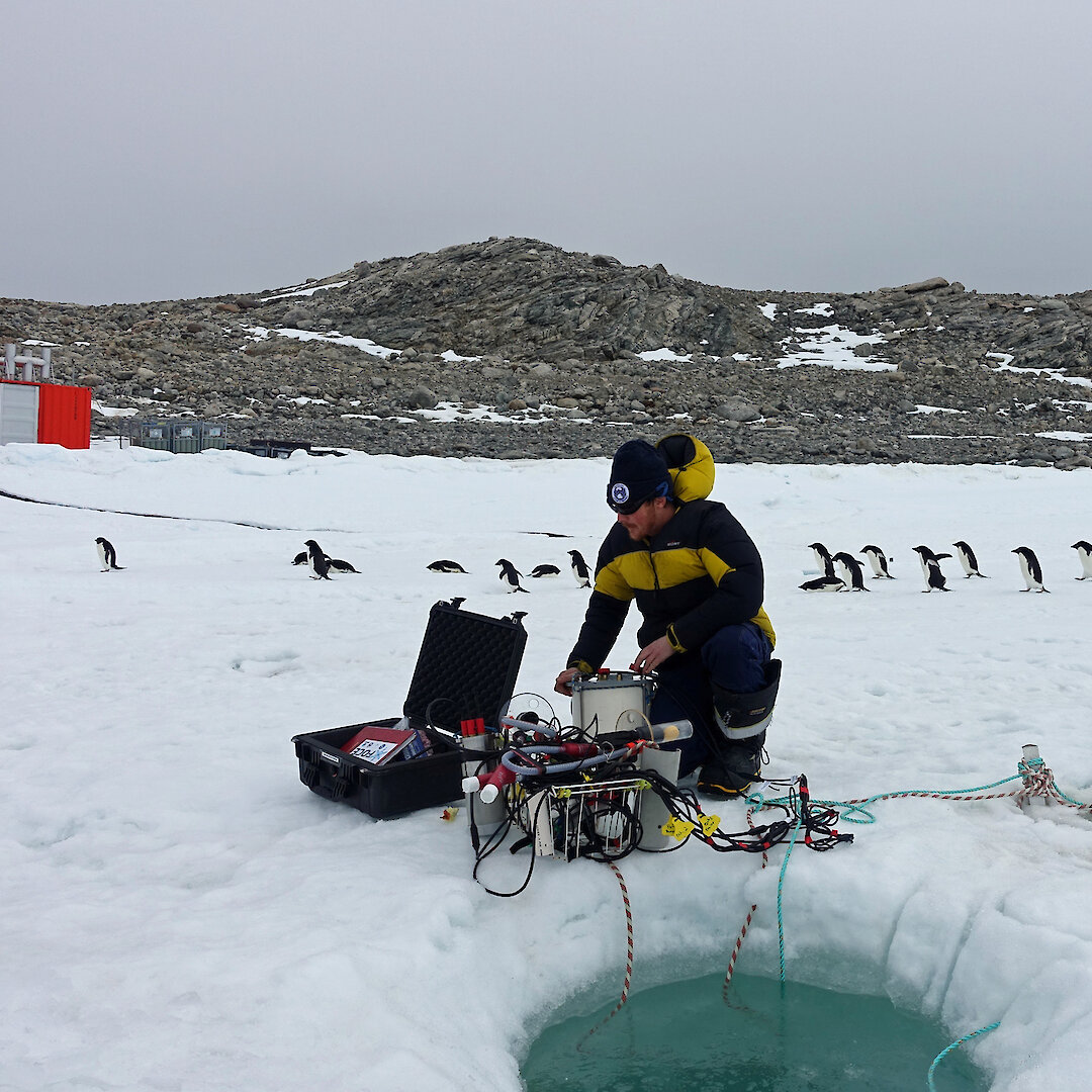 Launch of Antarctic Science Foundation — Australian Antarctic Program ...