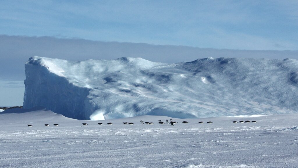 This week at Davis: 18 October 2013 — Australian Antarctic Program