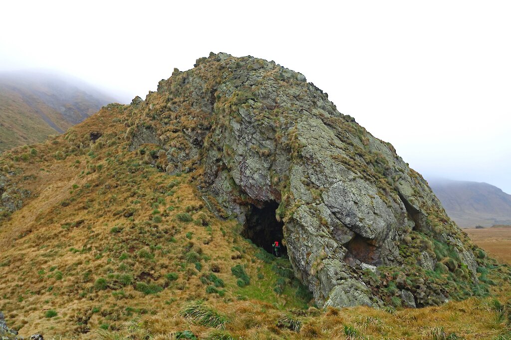 This week at Macquarie Island: 8 August 2014 — Australian Antarctic Program