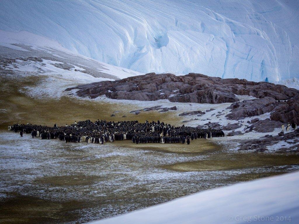 This week at Mawson: 11 July 2014 — Australian Antarctic Program