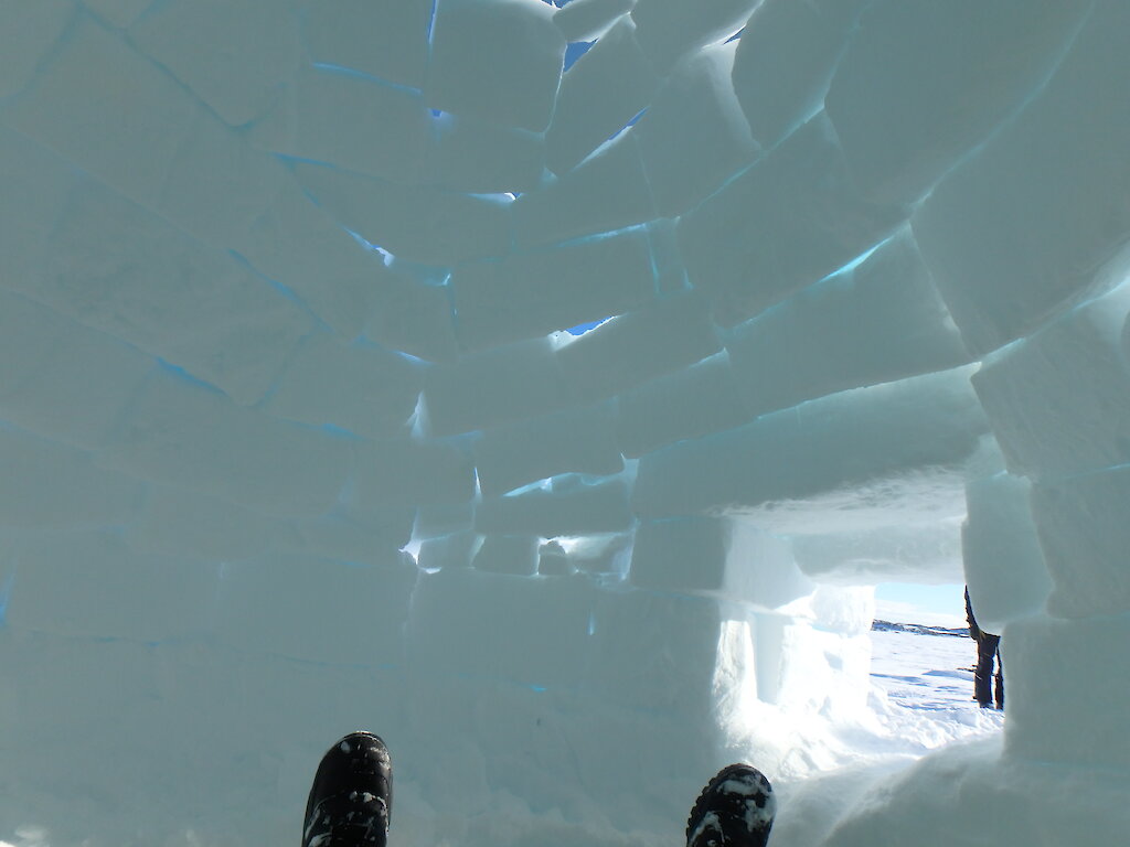 This week at Casey: 11 November 2016 — Australian Antarctic Program