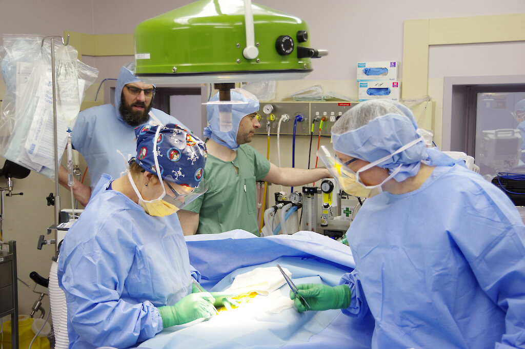 This week at Davis: 29 May 2015 — Australian Antarctic Program