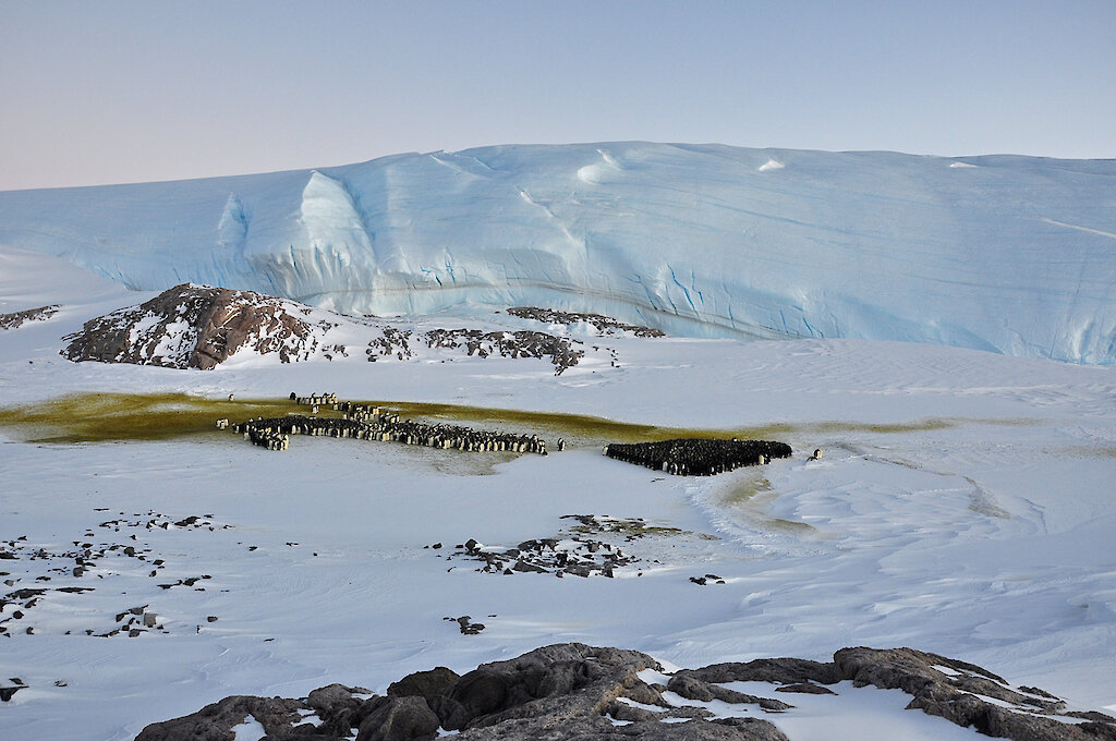 This week at Mawson: 10 July 2015 — Australian Antarctic Program