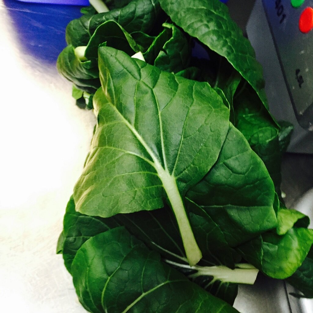 This week at Mawson: 22 April 2016 — Australian Antarctic Program