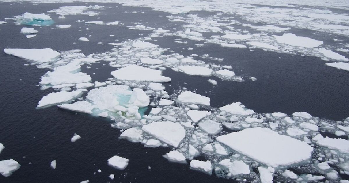 Blog 3 – Sea-ice observations – Australian Antarctic Program