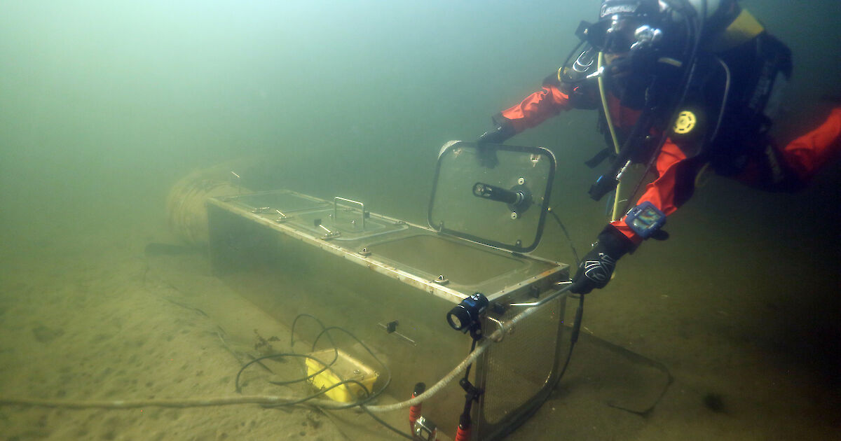 Ocean acidification experiment – Australian Antarctic Program