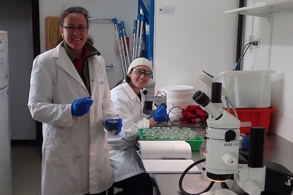 Science facilities – Australian Antarctic Program