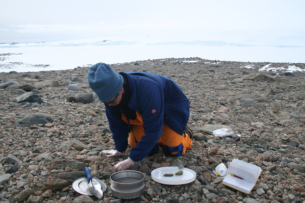 Collecting field samples — Australian Antarctic Program