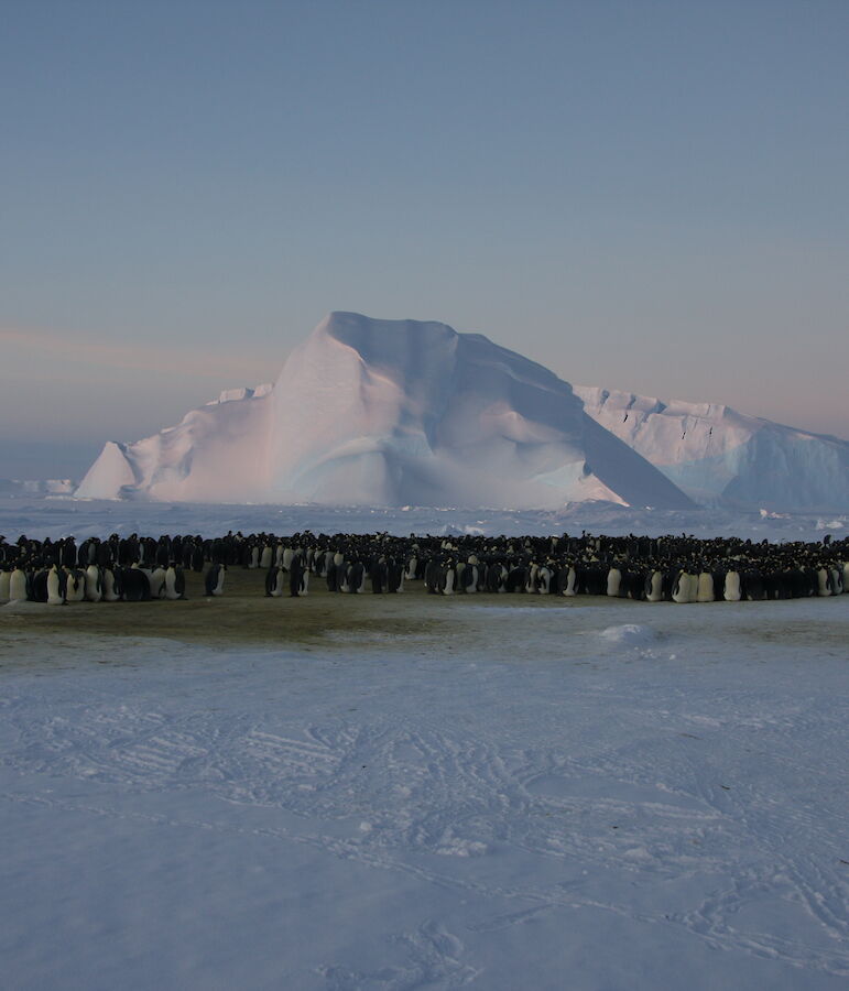 Finding emperor penguin colonies – Australian Antarctic Program
