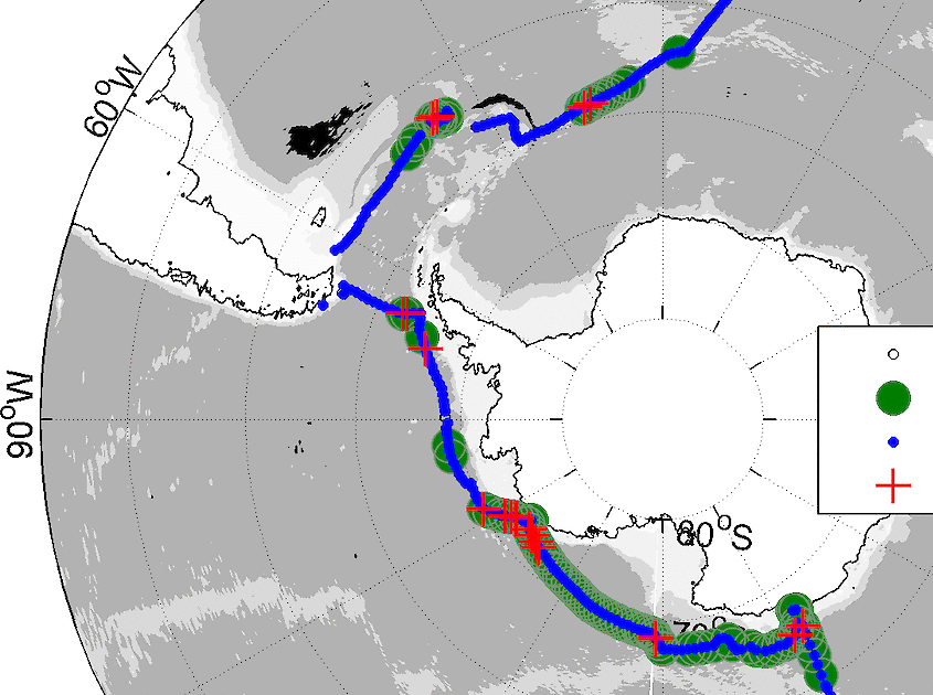 Mapping Antarctic blue whale hotspots – Magazine Issue 32: June 2017 ...