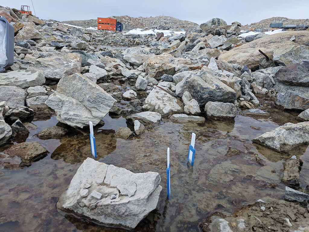 Measuring metal pollution in the Antarctic environment — Australian ...