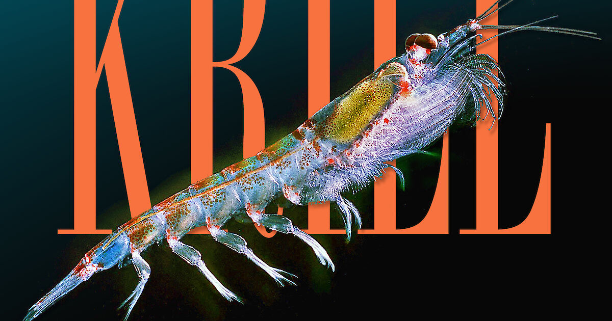1 Krill Facts Center Krillfactsorg