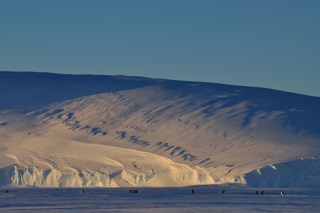 Icebergs — Australian Antarctic Program