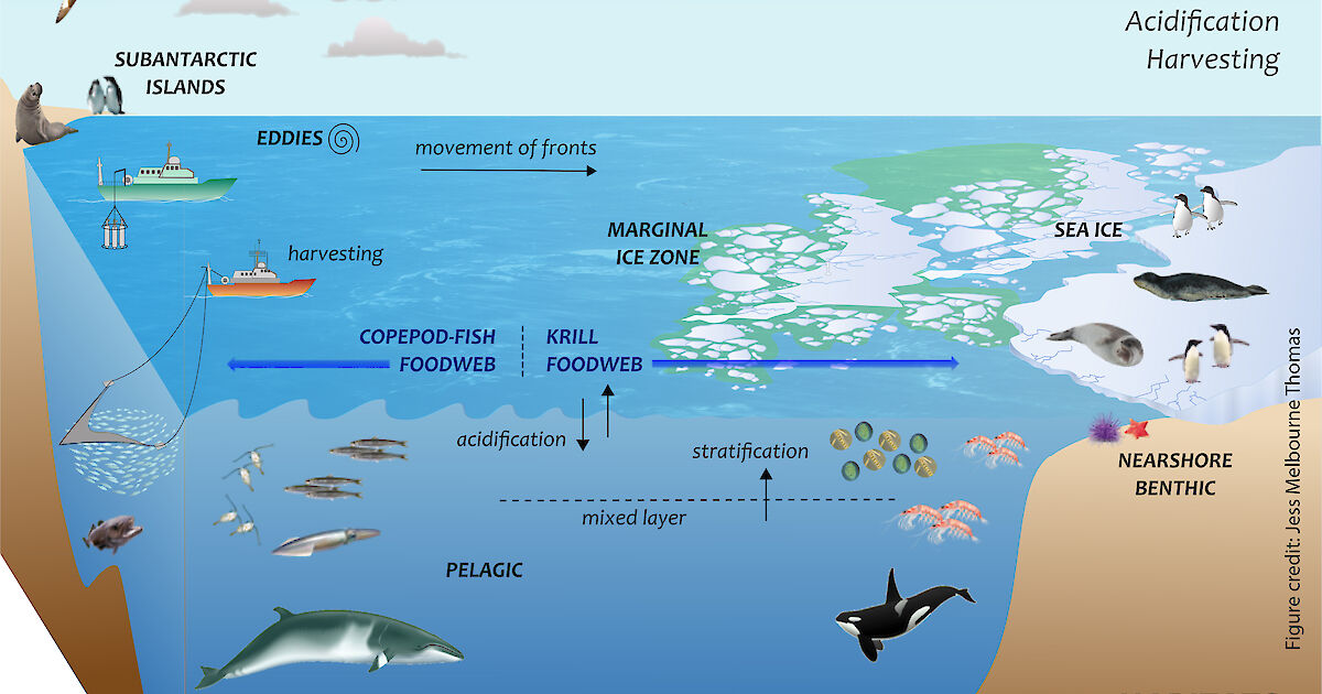 Australian science in CCAMLR – Australian Antarctic Program