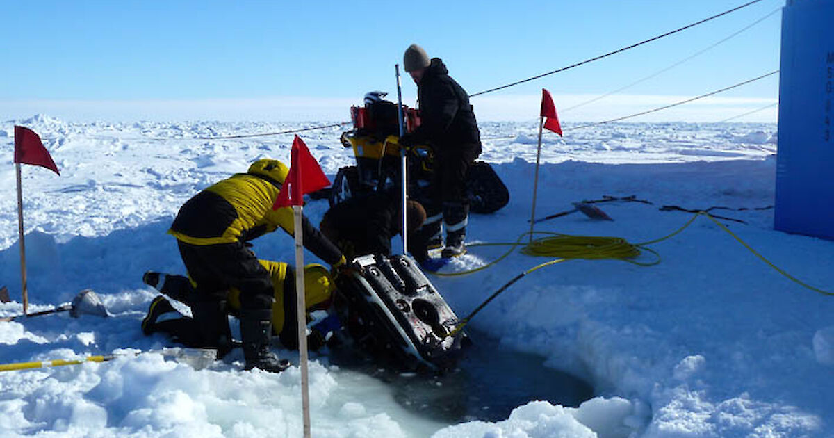 All weather science and support – Australian Antarctic Program