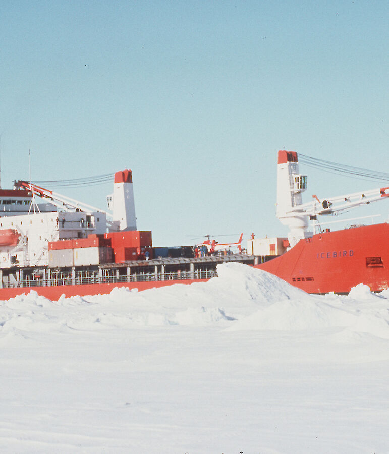 MV Icebird 1984–1996 – Australian Antarctic Program