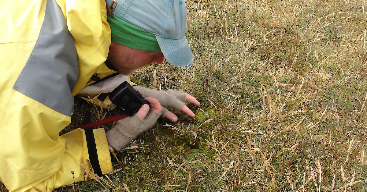 Field work – Australian Antarctic Program