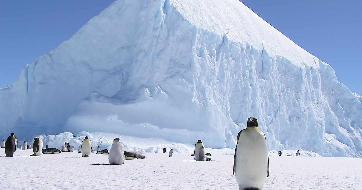 Protecting and managing special areas – Australian Antarctic Program