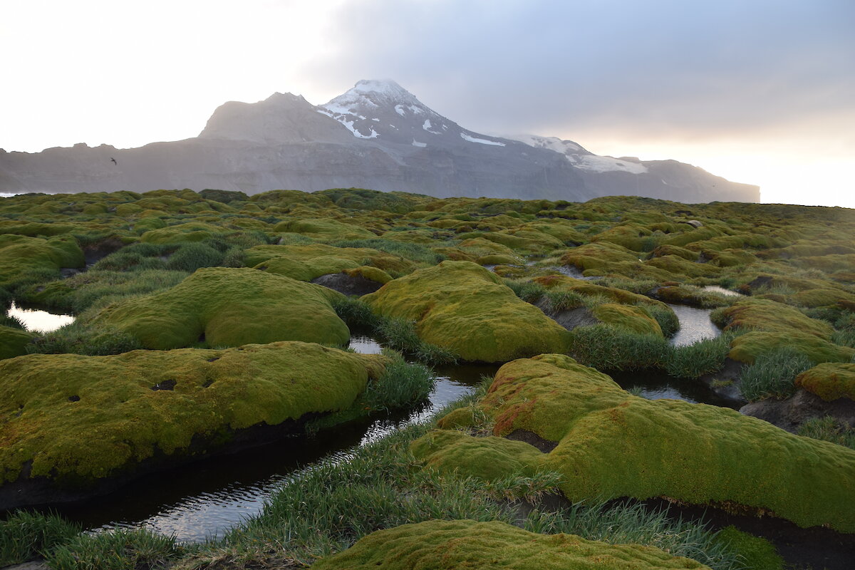 Heard Island and McDonald Islands – Australian Antarctic Program