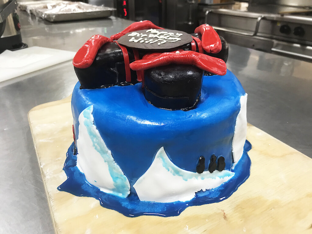 The icing on the cake — Australian Antarctic Program (News 2019)