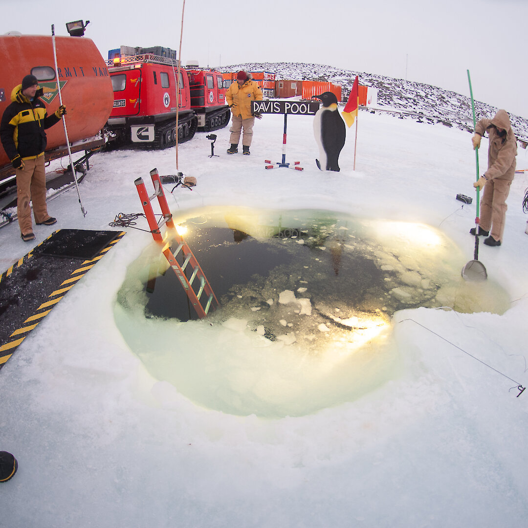 Australians plunge into ice hole in midwinter dark — Australian ...