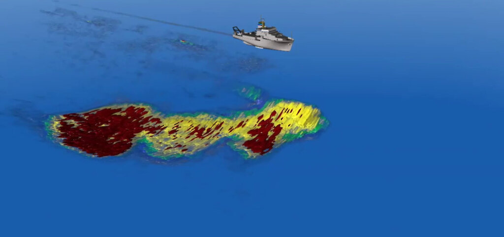 Blue whales prefer krill tall, dense and shallow — Australian Antarctic ...