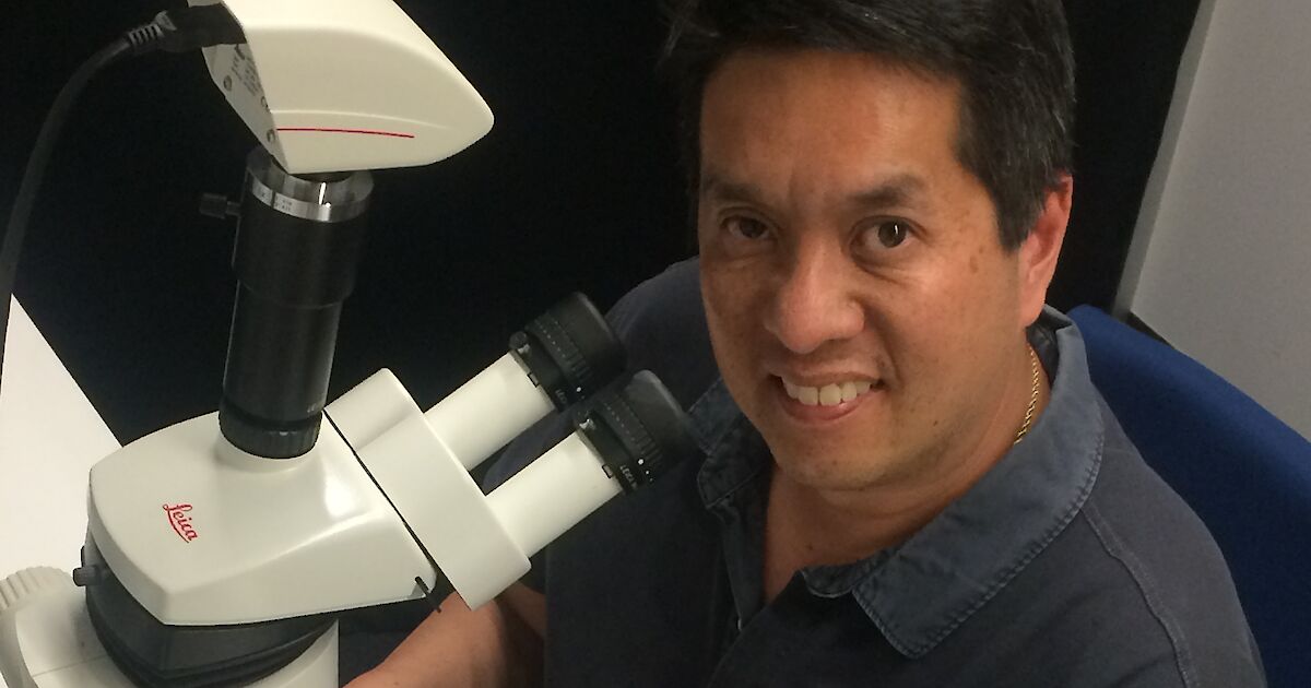 Tiny fossils reveal 25,000 years of Southern Ocean carbon history ...