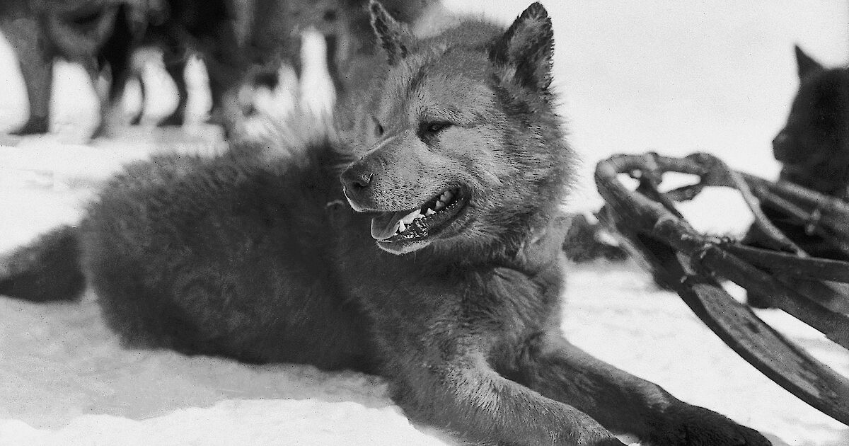 Antarctic place names go to the dogs – Magazine Issue 33: December 2017 ...